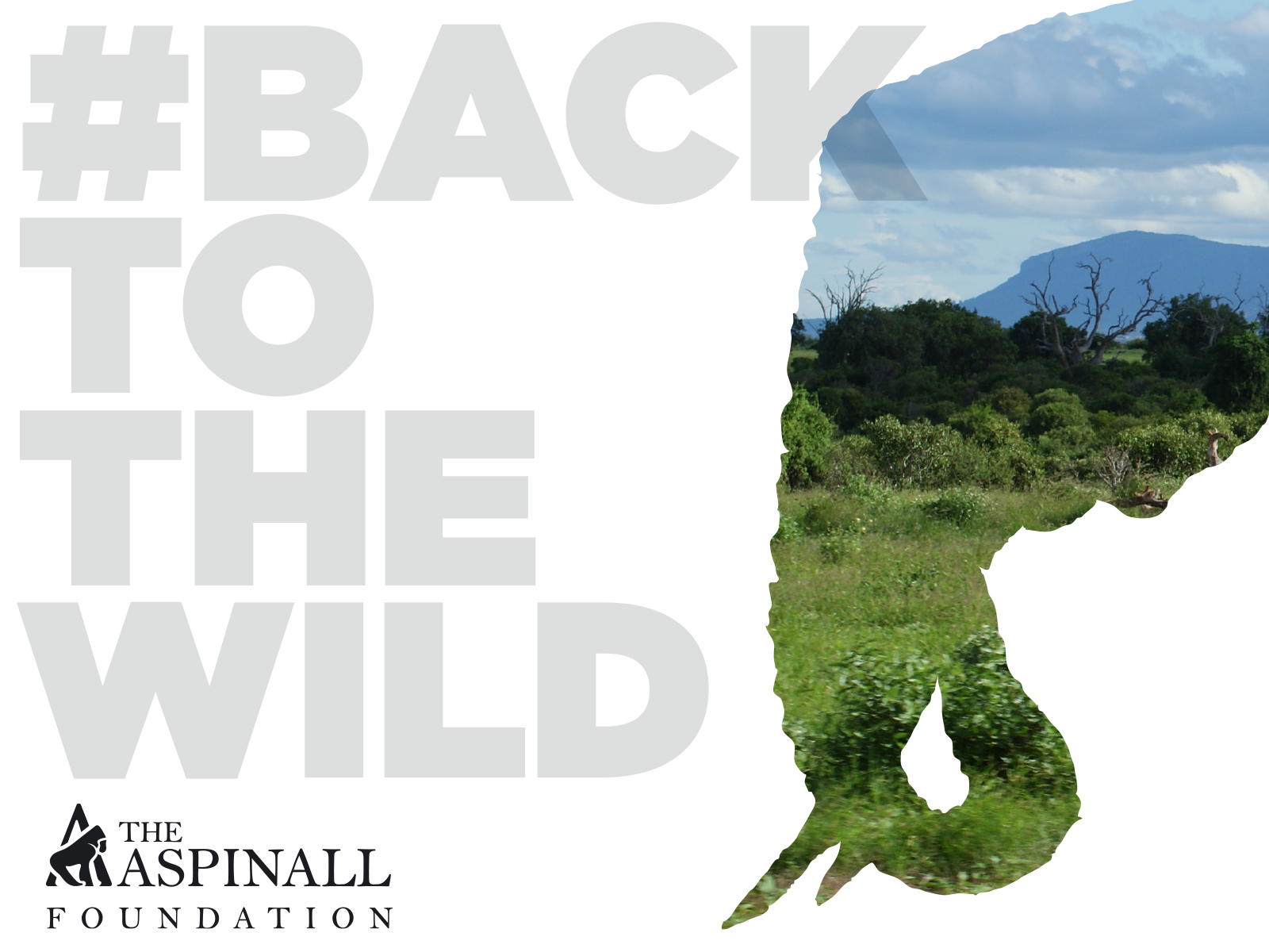 BackToTheWild – The Aspinall Foundation